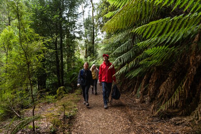 Intrepid Travel releases sustainability handbook created especially for ...