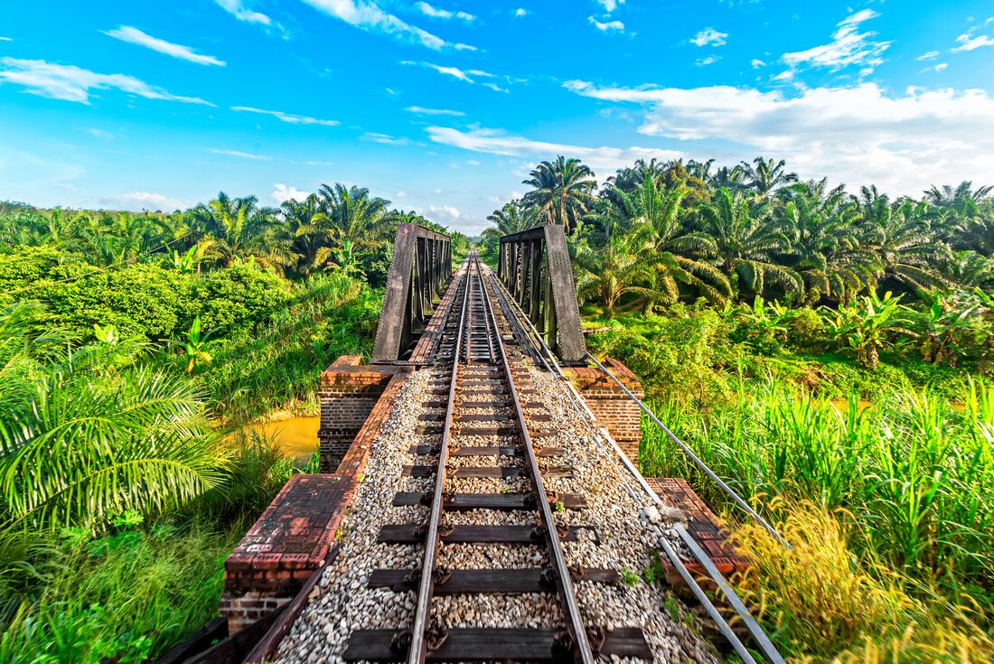 Malaysia's Jungle Railway Adventure | Intrepid Travel EN