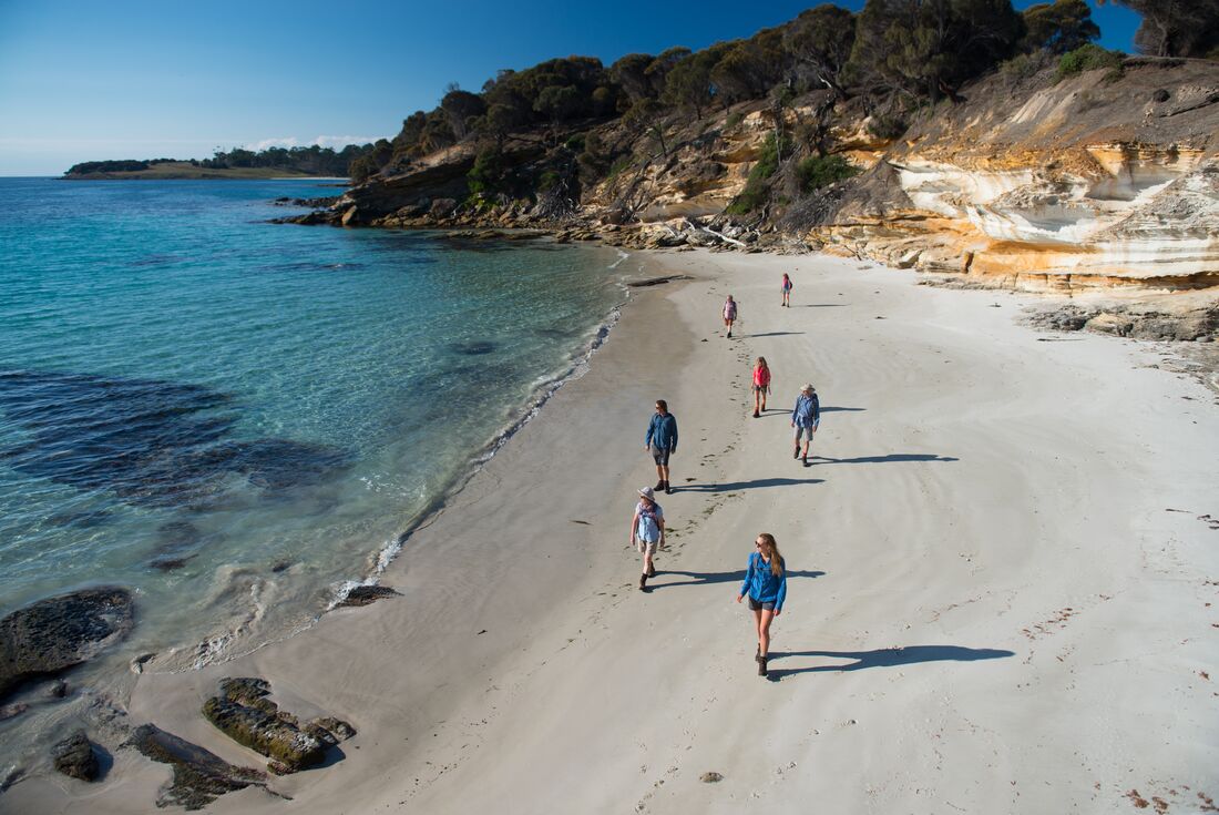 Tasmania's Maria Island Walk (Non-Portered) | Intrepid Travel ZA