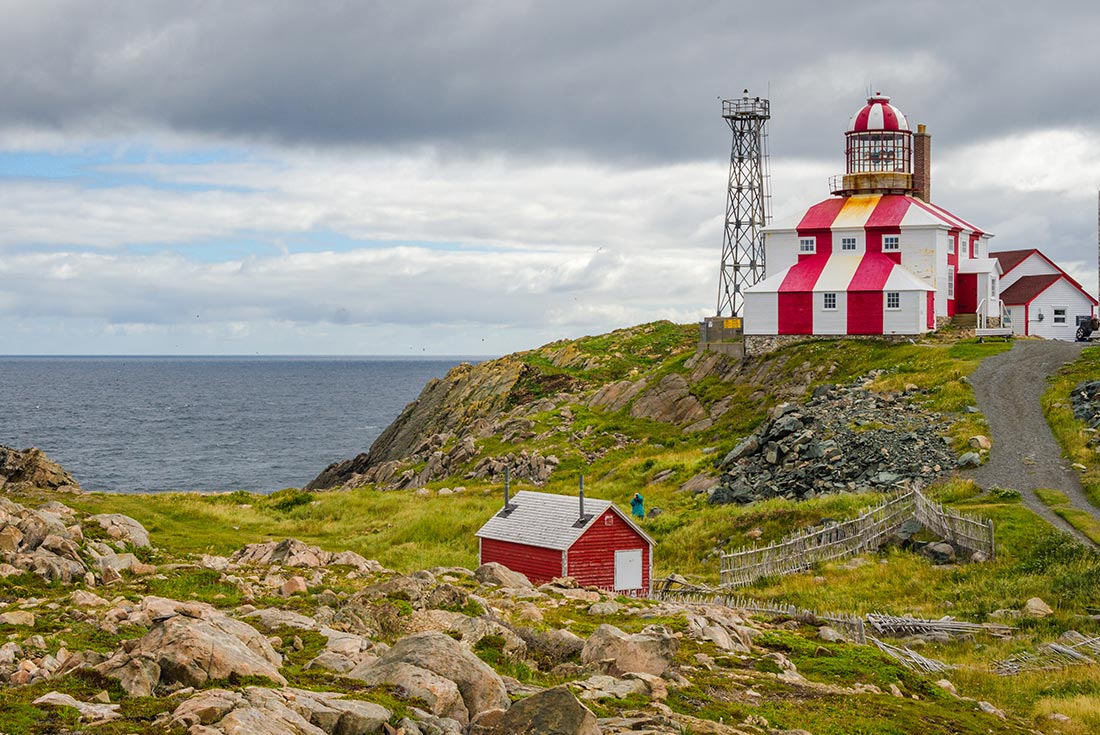 Newfoundland Canada Tour: Icebergs & Wildlife - 8 Days | Intrepid Travel EN